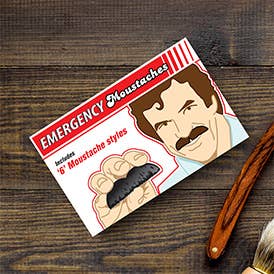 Emergency Mustache Kit - 6 Styles for the Perfect Disguise | Gift ...