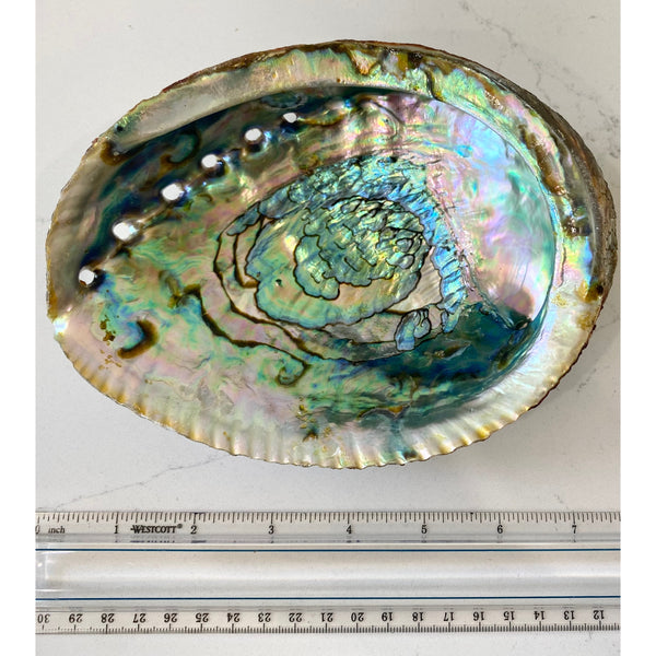Abalone Shell Smudge Bowls w/ Tripod Stand | Danu Wellness